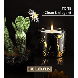Scented Candles, Candles for Home Scented, Cactus Strong Scented Candles for Men, 7oz Large Fall Soy Candles, Aromatherapy Candle for Mens Gifts in Black Gold Jar - Christmas Birthday Gifts for Men