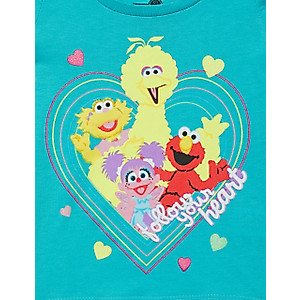 Sesame Street baby girls Short Sleeve Tee Shirt Maternity Blouse, Aqua Turquoise, 2T US