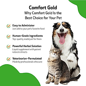 Pet Wellbeing Comfort Gold for Dogs - Supports Canine Physical Comfort, Healthy Circulation, Corydalis, Turmeric - Veterinarian-Formulated Herbal Supplement 4 oz (118 ml)