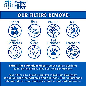 Fette Filter - Air Purifier Activated Carbon Filter Compatible with HoMedics TotalClean PetPlus. Compare to Part # AT-PET01, AT-PET02, AT-PETODR. Pack of 4
