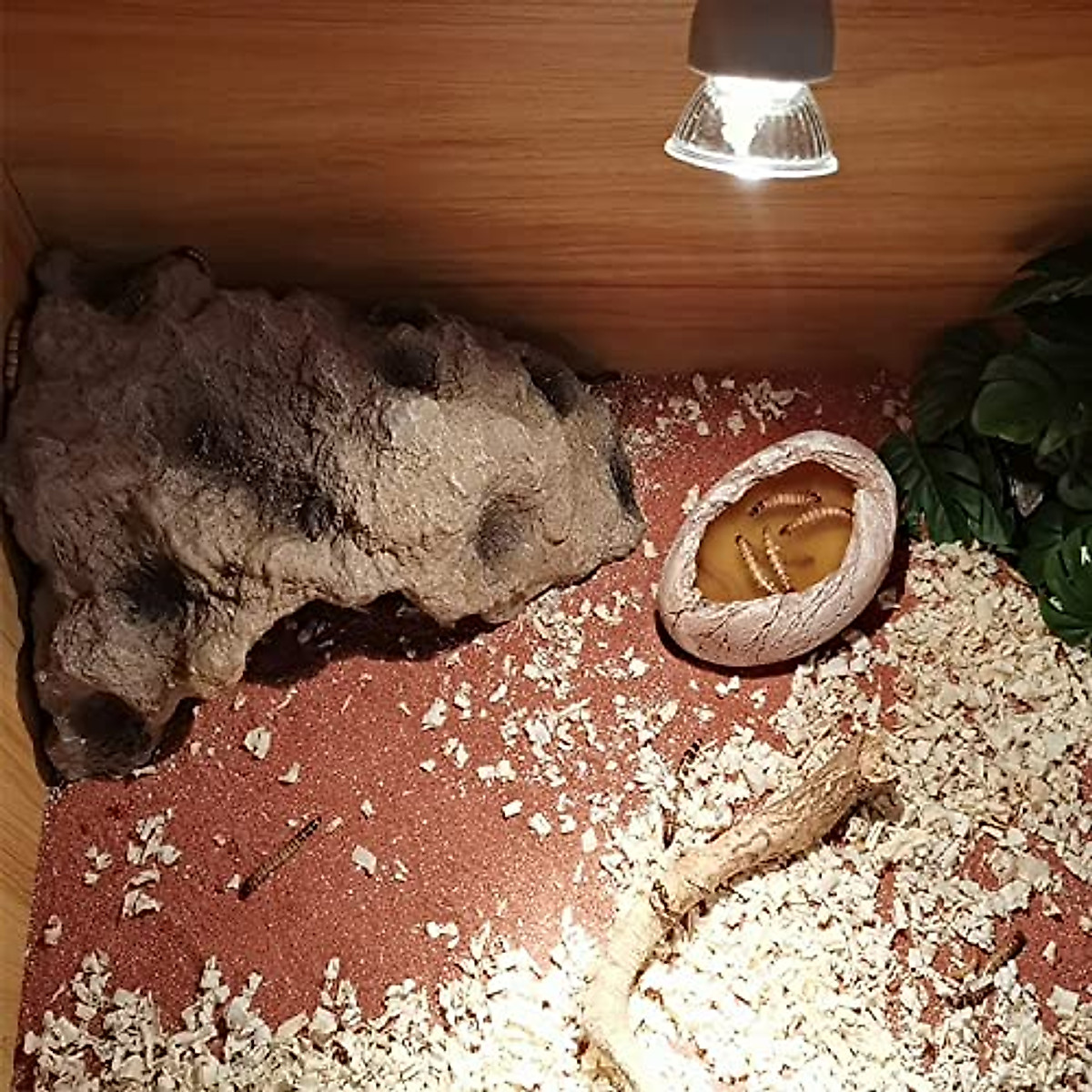 Flushbay Reptile Rock Hide Cave Resin Large Reptile Hideouts Habitat Cave Terrarium Decorations for Bearded Dragon Lizards Geckos Leopard Chameleons Frogs Turtles Snakes