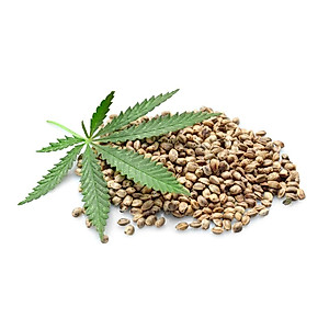 BEAUTY MADE EASY Wellness Premium Products Organic Hemp Shampoo, 500ML (16.9 oz),WPPS