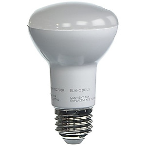 Feit Electric LED R20 Medium E26 Base Light Bulb - 45W Equivalent - 10 Year Life - 450 Lumen - 2700K Soft White - Dimmable | 2-Pack