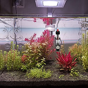 Nobiqfoq Fish Tank Aquarium Heater - Submersible Thermostat Adjustable Temperature Heater for Saltwater & Freshwater 50W