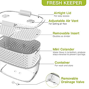 LUXEAR Fresh Produce Vegetable Fruit Storage Containers 3Piece Set, BPA-free, Partitioned Salad Container, Fridge Organizers, Used in Storing Fruits Vegetables, White