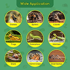 Plastic Reptile Terrarium, Nobleza Reptile Tank with Handle for Lizard Hermit Crab Turtle, Portable Reptile Enclosure for Tarantula Spider Tortoise Cricket, Medium Critter Keeper for Small Animal