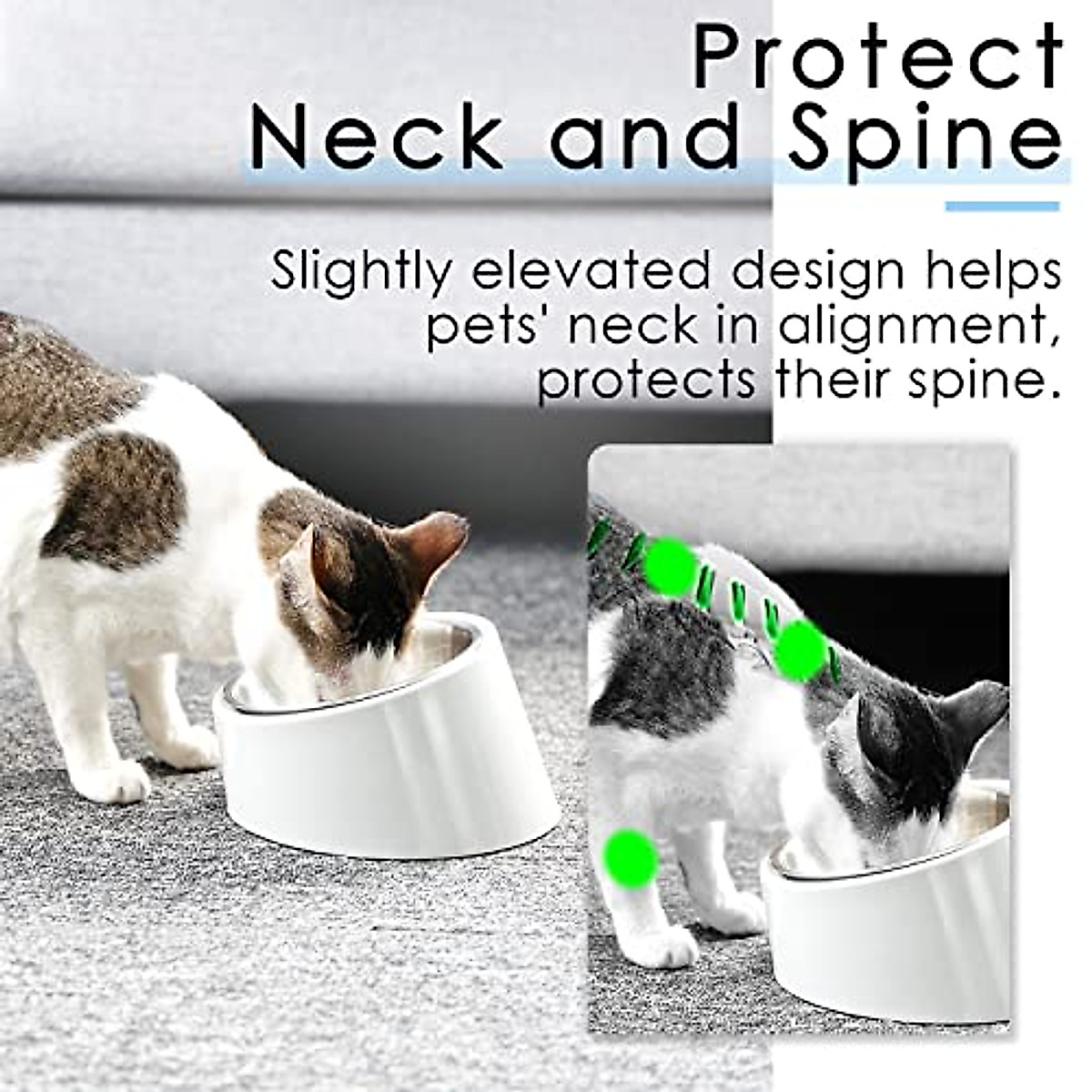 SuperDesign Mess Free 15° Slanted Bowl for Dogs and Cats, Tilted Angle Bulldog Bowl Dog Feeder, Non-Skid & Non-Spill, Easier to Reach Food S/0.5 Cup White