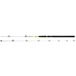 Daiwa Beef Kitty Catfish Casting Rod 10' 2pc 14-40#, White