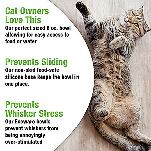 Van Ness Pets EcoWare Whisker-Friendly Cat Bowl, Wide Dish Cat Dish, 8 OZ, Fuschia