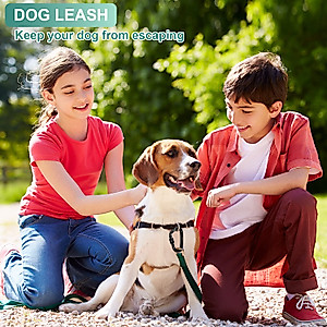 Unijoy Carabiner - Locking Caribeaner Clip: Heavy Duty Carabiner Clips for Hammock and Backpack | 12KN Aluminium Caribeaner