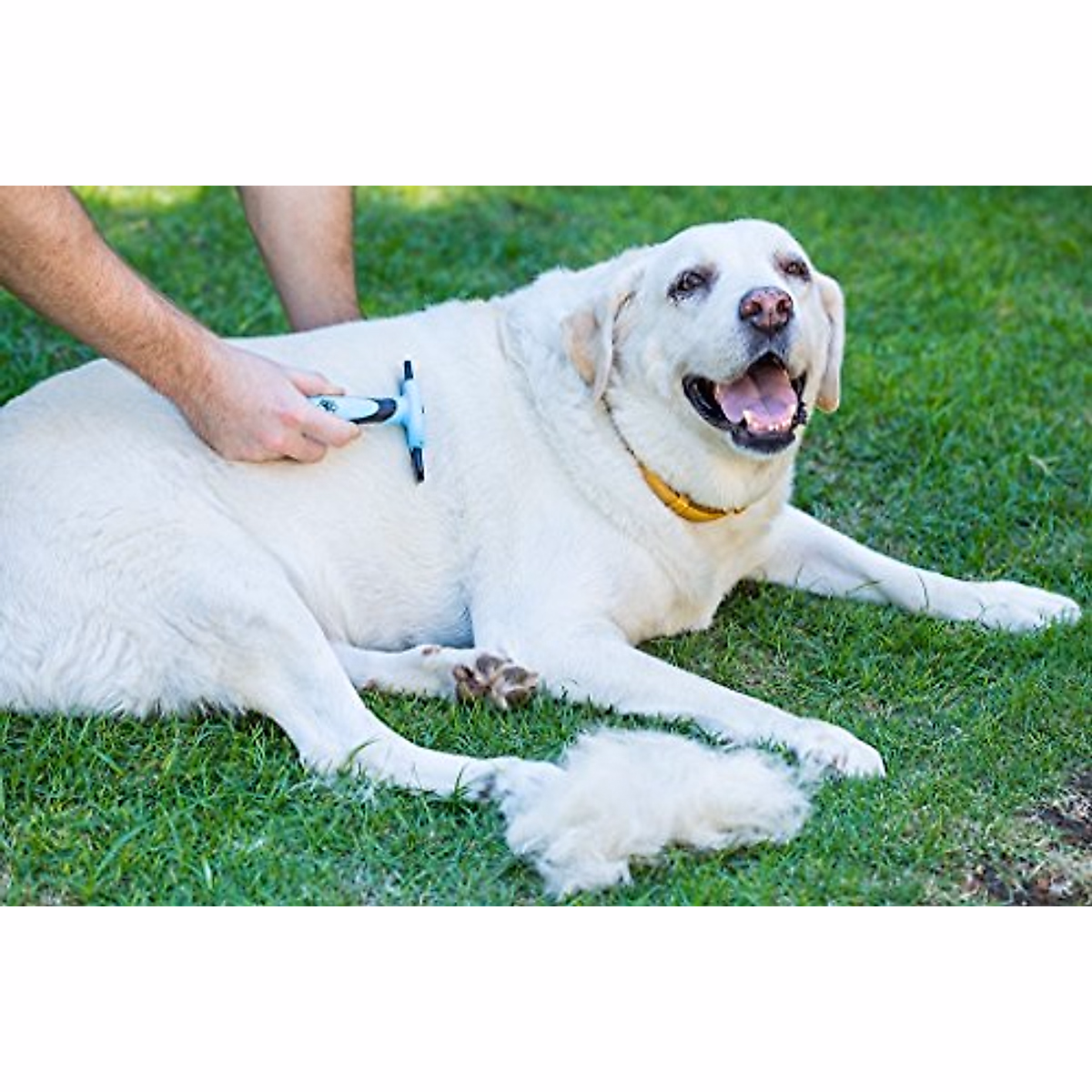 Pet Grooming Dog & Cat Brush For Shedding, Effective for Long & Short Hair Pet Grooming Tool, Reduces Dogs and Cats Shedding Hair By More Than 95%, The Professional Deshedding Tool