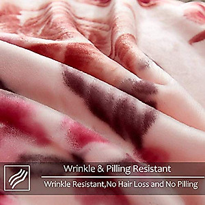 JYK Heavy Korean Mink Fleece Blanket, 5 LB - 2 Ply Reversible 520GSM Silky Soft Plush Warm Blanket for Autumn Winter (Queen, Flower/Burgundy)