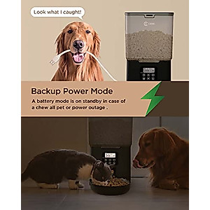 Ciays Automatic Cat Feeders, 5.6L Cat Food Dispenser Up to 20 Portions Control 4 Meals Per Day, Pet Dry Food Dispenser for Small Medium Cats Dogs, Dual Power Supply & Voice Recorder, Black, PAF-A06