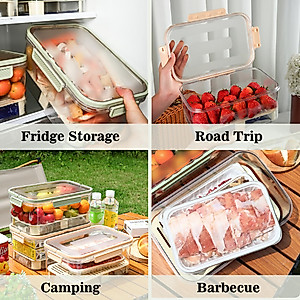 Ice Chilled Snackle Box Container with Ice Pack Portable Cooler Box with Lids & Handle for Camping Picnic Airtight Fruit Storage Containers for Fridge Berry Fresh Keeper for Meal Veggie Snack,Coffee