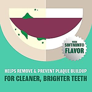 Plax Dental Rinse Soft Mint 24 oz (6 Pack)