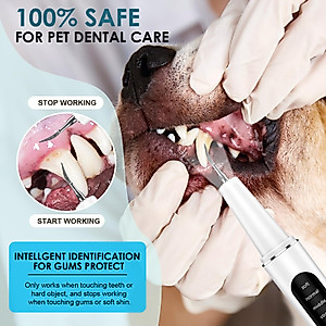 BETOPET Plaque Remover for Teeth - Dog Electric Toothbrush, 5 Modes Ultrasonic Dog Teeth Cleaning Kit, Effective Care of Teeth, Suitable for Dogs and Cats