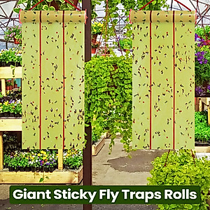 Qualirey Sticky Fly Traps Outdoor Giant Fly Traps for Indoors Sticky Fly Paper Strips Indoor Hanging Fly Tape Insect Fly Paper Sheets Glue Bug Catcher Outdoor for Gnats Mosquitoes (150 ft)