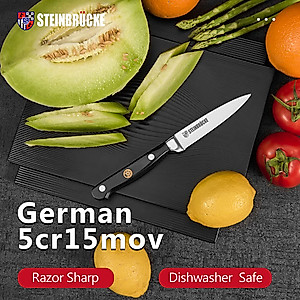 STEINBRÜCKE Paring Knife 4 inch, Small Kitchen Knife Forged from German 5Cr15Mov(HRC58) Stainless Steel, Full Tang Sharp Paring Knife with Ergonomic Handle for Cutting, Peeling and Slicing