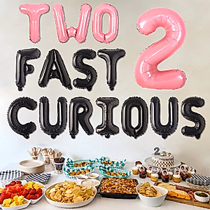 90Pcs Pink Racing Car 2nd Birthday Party Decorations for Girls, TWO FAST CURIOUS 2 Foil Balloons with Pink Black Checkerboard Grid Balloon Garland Kit for Girls 2 Years Old Birthday Decoration