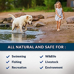 Airmax MuckAway Natural Beneficial Bacteria for Outdoor Ponds & Lakes, Muck, Sludge & Noxious Odor Solution, Easy to use Enzyme Tablets, Cleaner Beach & Shoreline, Fish, Pet & Wildlife Safe, 8 Scoops