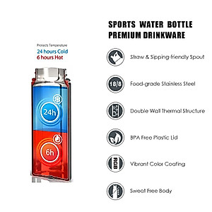 maxer Game Anime 3D Lovely Cat Teens Kids 20oz 28oz Metal Water Bottle for 12 Hours Hot & 24 Hours Cold Drinks, Sports Flask Great for Work, Gym, Travel，Gift