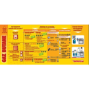 Dipra 11546 Détendeur GAZ à sécurité Butane Safety Gas Regulator, Norme, Grey