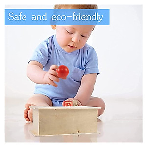 2 in 1 Mon-tessori Wooden Coins Balls Matching Box with 2 Drawers- Wood Coin Box with 5 Coins Object Permanence Box with 1 Wood Ball Preschool Learning Toys for Baby Toddler Infant Educational Gifts