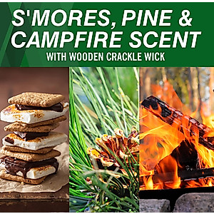 Coleman Scented Tin Citronella Candle - 3 Pack, S'Mores, Pine and Campfire