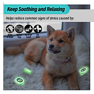 KN FLAX Aegis Calming Clip for Dogs (Glow-in-The-Dark), Anxiety Relief Pheromone Diffuser [Made in Korea], Lasts 60 Days, Reducing Stress During Loud Noise and Separation for All Sized Dog (Love U)