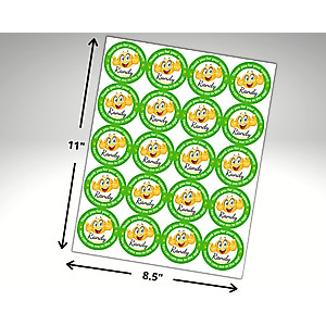 Personalized Delivery Driver Thank You Rating Stickers for Bags,100-count,5 Sheets 2inch diameter