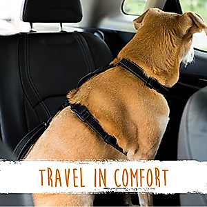Mighty Paw Dog Seat Belt | Latchbar Dog Seatbelt Tether, Pet Seat Belt for Car, Dog Car Leash, Dog Safety Belt for Car, Seatbelt for Dog in Car, Dog Seat Belt for Car, Dog Car Seat Belt Large - Puppy