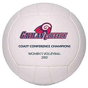 Personalized Custom Photo Regulation Full Size Volleyball - Any Image - Any Text - Any Logo