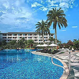 BTZHY 304 Stainless Steel Spa Handrail, Humanized Pool Railings w/Curved Structure Ladder Step Handrail for Garden Backyard Pools Easy to Install (1PCS)