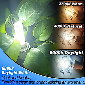 Heifymi E17 LED Light Bulb 10 Watt Equivalent 100W 6000K Daylight White 1000lm 120V E17 Intermediate Base LED Bulb for Desk Lamp,Ceiling Fan Lights, Headboard Reading Lights, Non-Dimmable, 3 Pack