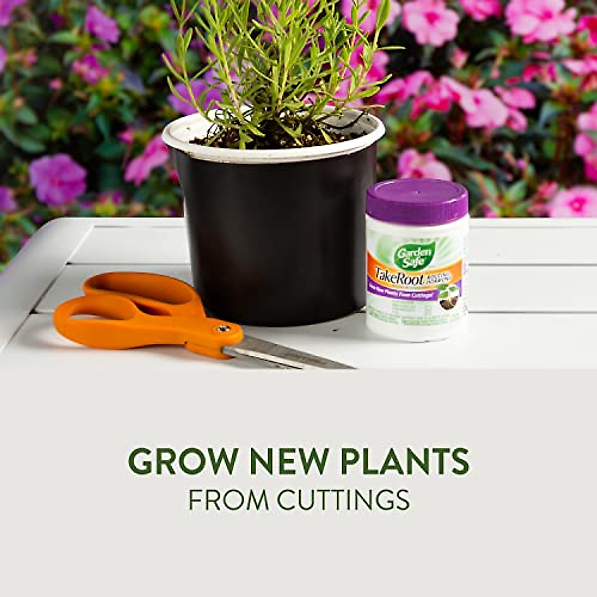 Garden Safe Take Root Rooting Hormone, Promotes Rooting, Grow New Plants From Cuttings, 2 Ounce