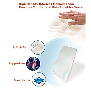 Tektrum Full Lumbar Entire Back Support Cushion for Home/Office Chair, Car Seat - Washable Cover, Ergonomic Thick 3D Design Fit Body Curve - Back Pain Relief, Improve Posture - Black (TD-QFC024-BLK)