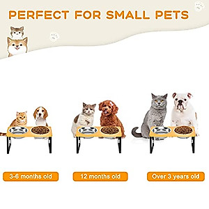 UQNAL Elevated Dog Bowls Stand Bamboo Raised Dog Bowl with 15° Stand Tilted for Medium and Small Dog Water Bowl with 4 Stainless Steel Bowl and Anti Slip feet