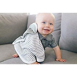 Copper Pearl Baby Security Blanket Set of 2 - Portable Size for Self-Soothing On-The-Go, Ideal Baby Blankets for Boys and Girls, Ultra-Soft, and Gift-Ready Loveys - Everest