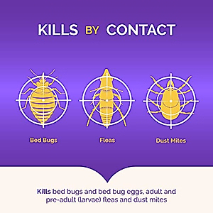 Hot Shot Ready-to-Use Bed Bug Killer Spray, Kills Bed Bugs and Bed Bug Eggs, Kills Fleas and Dust Mites, 32 Ounce