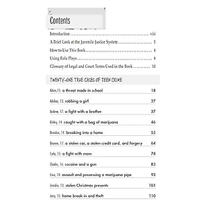 They Broke the Law―You Be the Judge: True Cases of Teen Crime (Teens and the Law)