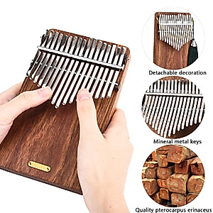 LingTing Kalimba 17 keys Thumb Piano Mbira Finger Piano Gift for Kids Adult Beginners Professional（LT-K17P,sea whisperer)