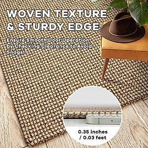 IOHOUZE Small Area Rug 2'x3' Washable Boho Rugs for Entryway Rubber Backing Kitchen Rugs Indoor Outdoor Doormat Throw Rug Floor Carpet for Entrance Kitchen Bathroom, Tan/Brown