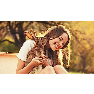 Sherwood Baby Rabbit Food. Hay-Based Pellet. No Wheat, Corn, or Soy for Better Digestion. 4.5 lbs