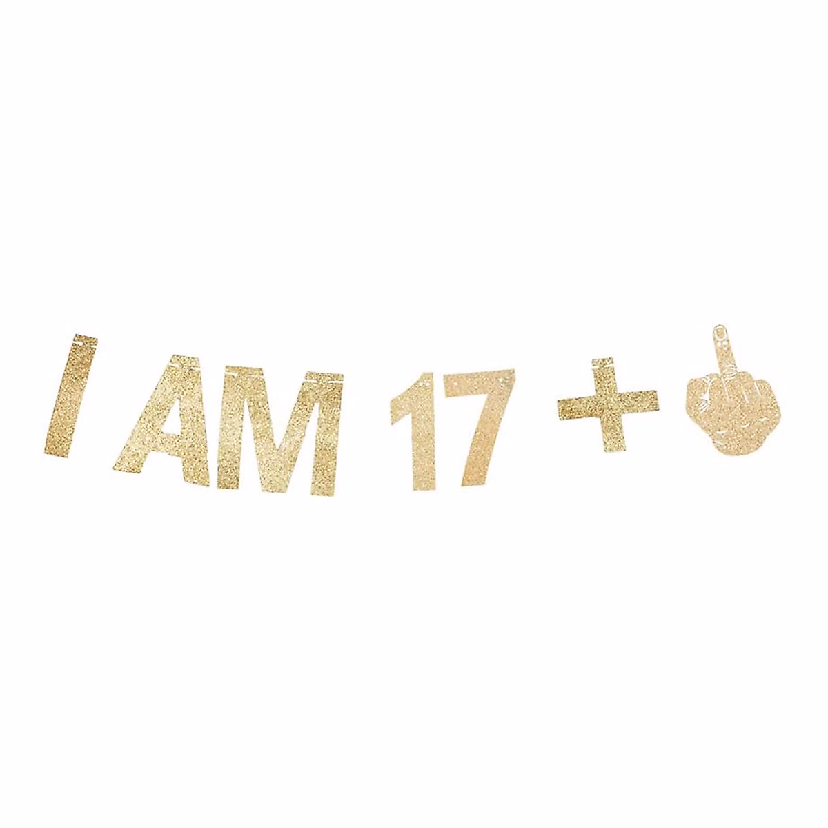 Morndew Gold Gliter I AM 17+1 Paper Banner for 18th Birthday Party Sign Backdrops Funny/Gag 18 Bday Party Wedding Anniversary Celebration Party Retirement Party Decorations