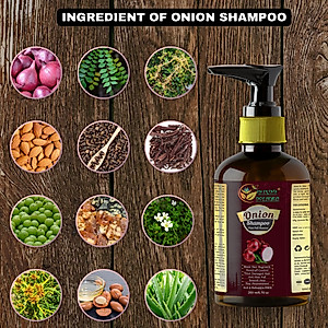 Onion Shampoo for Hair Growth – Enriched with Caffeine, Curry Leaf & Indian Alkanet Root – Controls Hair Fall & Dandruff – Onion Shampoo and Conditioner Alternative – 6.76 fl oz by Herbs Botanica