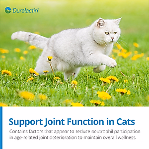PRN Pharmacal Duralactin Feline Fatty Acid Soft Chews - Joint Health Supplement for Cats & Kittens to Help Manage Soreness - Omega-3 Fatty Acid Supplement - Chicken Liver Flavor - 60 Chews