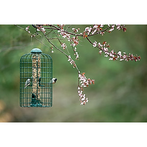 More Birds Squirrel-X Bird Feeder, Cage Tube Feeder Keeps Squirrels Out, 4 Feeding Ports, 1.5 lb Seed Capacity