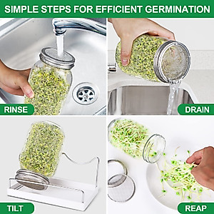 Sprouting Jar Kit, 32 OZ 2 Large Wide Mouth Mason Jars with Sprout Lids, Premium Canning Lids, Blackout Sleeves, Tray,Stand & Canning Brush - Sprouting Kit for Growing Broccoli, Mung Bean, Alfalfa