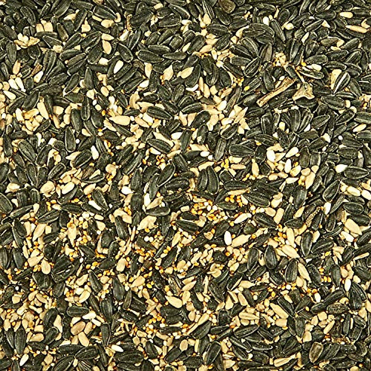 Kaytee Midwest Regional Wild Bird 7 Pounds