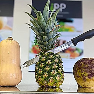 Forever Sharp Platinum Series 8 Pc Surgical Stainless Steel Knives